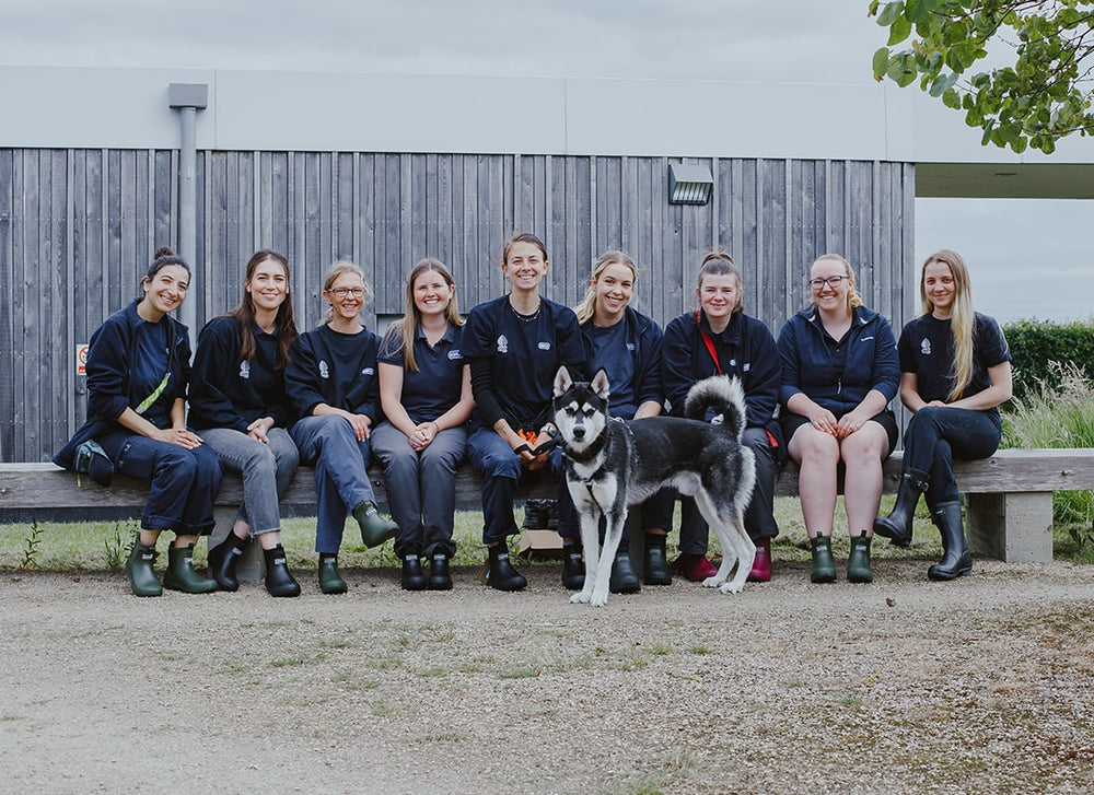 Cotswold Cats and Dogs Home - Cotswold-Shoes